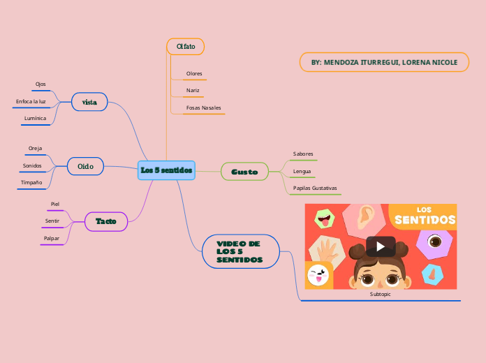 Los 5 sentidos - Mind Map